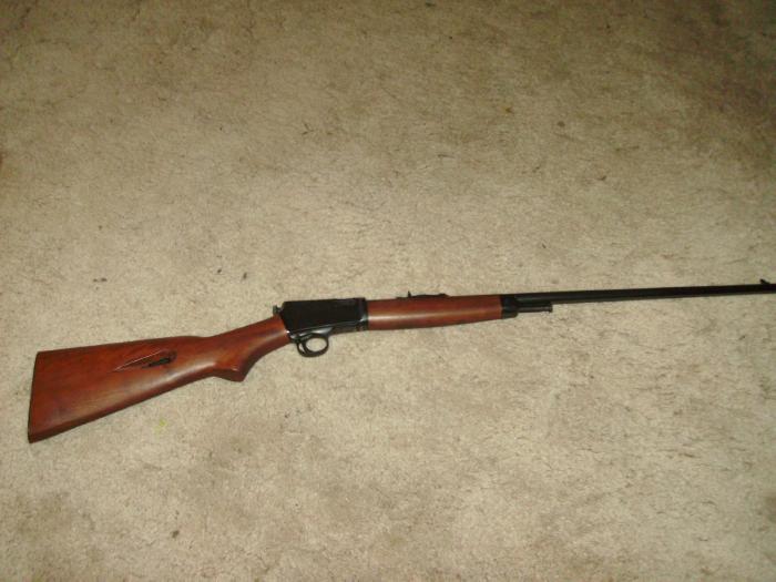 Taurus Model 63 22lr Semi Auto For Sale at GunAuction.com - 9517695