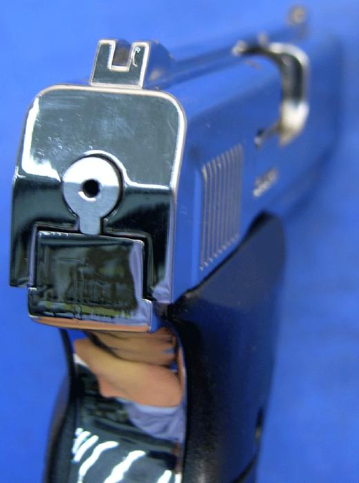 Cobra Model Fs-380 .380 Acp Semi-Auto Pistol-Chrome For Sale at ...