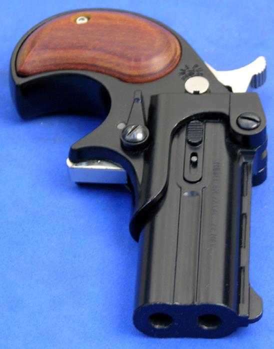 Davis Industries Dm-22 .22mag O/U Derringer-Black For Sale at ...