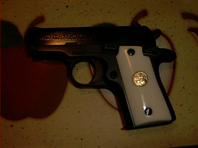 Colt Pocketlite Limited Edition 1 Of 500 For Sale at GunAuction.com ...