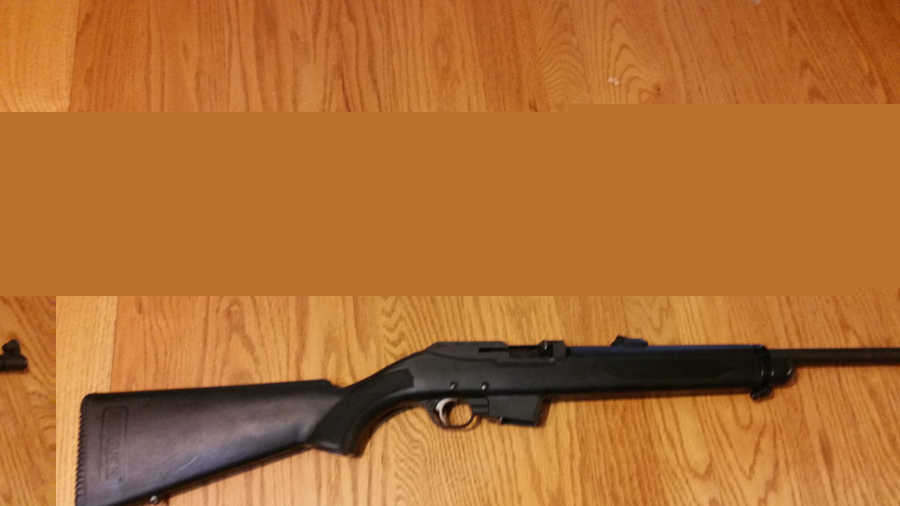 Ruger Police Carbine .40. (Pc4) For Sale at GunAuction.com - 14135588
