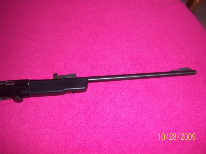 American Arms, Inc. American Arms Exp 64 .22 Semi Auto. For Sale at ...