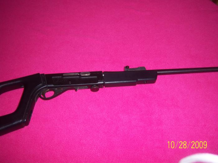 American Arms, Inc. American Arms Exp 64 .22 Semi Auto. For Sale at ...