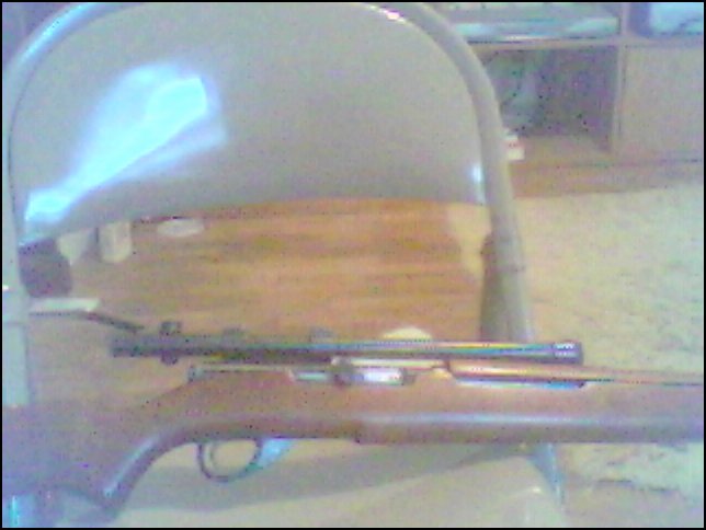 Stevens/Springfield Stevens Model 87m Training Rifle For Sale at ...