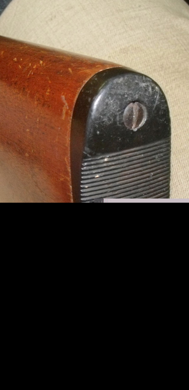Savage-Stevens Model 87b .22 Lr Semi-Auto For Sale at GunAuction.com ...