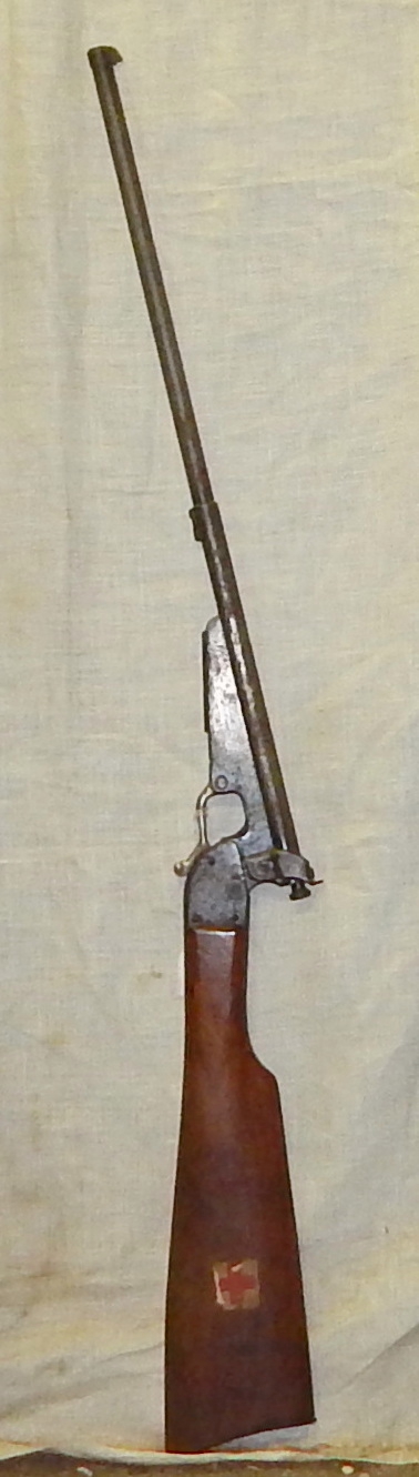 Hamilton Rifle Company Single Shot Boys Rifle No. 19 For Sale at ...