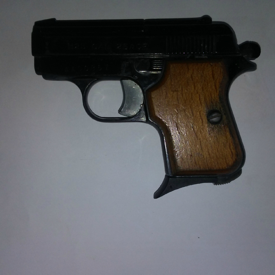 Heritage Mfg Inc Heritage H25 Pistol .25 Acp For Sale at GunAuction.com ...