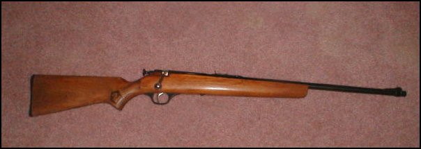 Marlin Firearms Co. Glenfield Model 10-Made by Marlin Firearms Co.