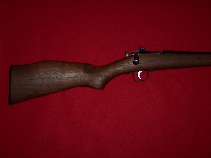 Rogue Rifle Company Rogue Rifle Chipmunk In .22 Magnum For Sale at ...