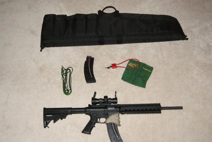 Smith & Wesson .22lr M&P 15-22 Custom For Sale at GunAuction.com - 10117536