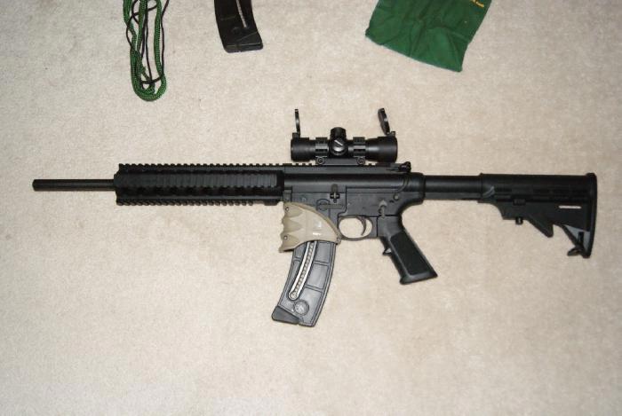 Smith & Wesson .22lr M&P 15-22 Custom For Sale at GunAuction.com - 10117536