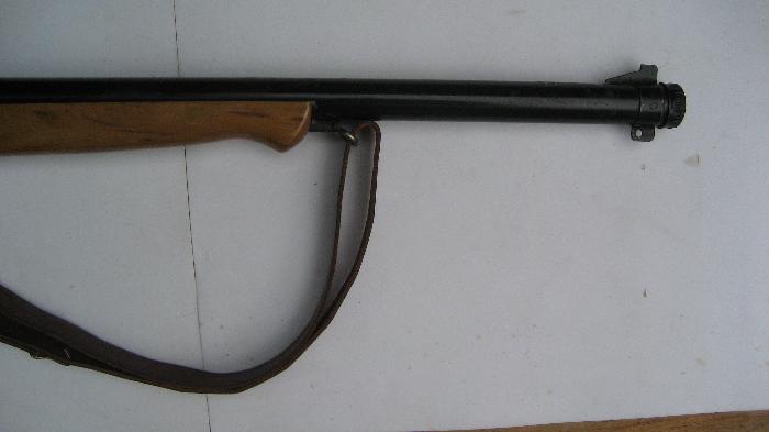 Daisy Model 98 Eagle 850 Shot Bb Rifle W/Scope For Sale at GunAuction ...