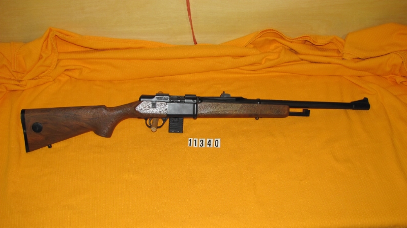 Daisy Model 2203 .22 Lr Semi-Auto For Sale at GunAuction.com - 10834988