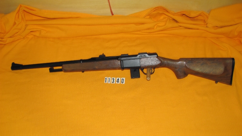 Daisy Model 2203 .22 Lr Semi-Auto For Sale at GunAuction.com - 10834988