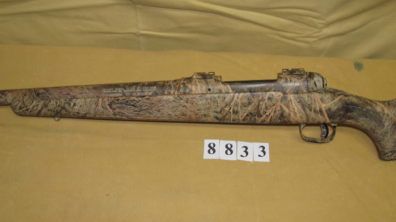 Savage Model 10 Predator .22-250 Heavy 22in Barrel Camo For Sale at ...