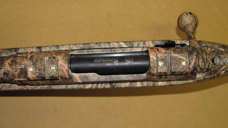 Savage Model 10 Predator .22-250 Heavy 22in Barrel Camo For Sale at ...