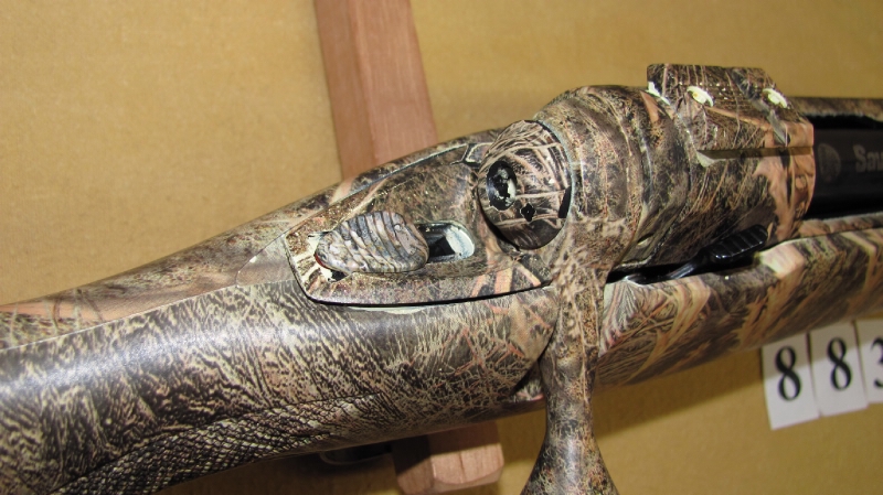 Savage Model 10 Predator .22-250 Heavy 22in Barrel Camo For Sale at ...