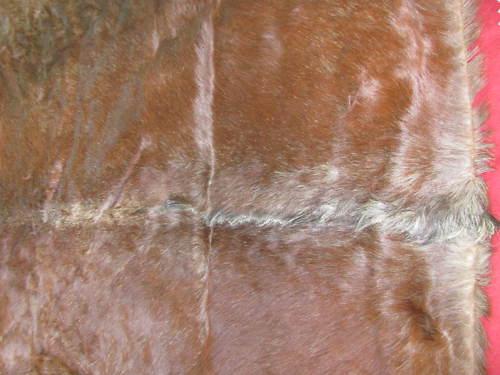Figved Fur Co Milwaukee Horse Hair Carriage Blanke For Sale at ...