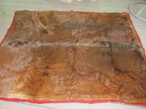 Figved Fur Co Milwaukee Horse Hair Carriage Blanke For Sale at ...