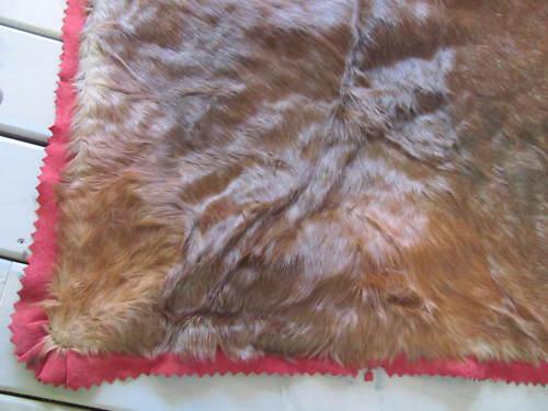 Figved Fur Co Milwaukee Horse Hair Carriage Blanke For Sale at ...