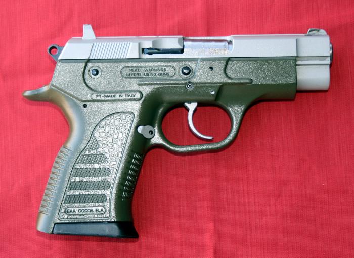 E.A.A. Tanfoglio Witness P Compact 9mm Pistol For Sale at GunAuction ...