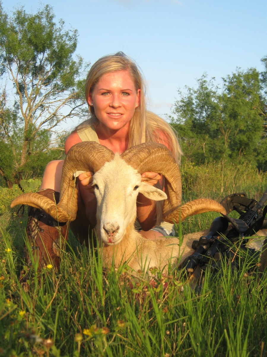 Texas Hunting - Guided Trophy Sheep And Wild Hog For Sale at GunAuction ...
