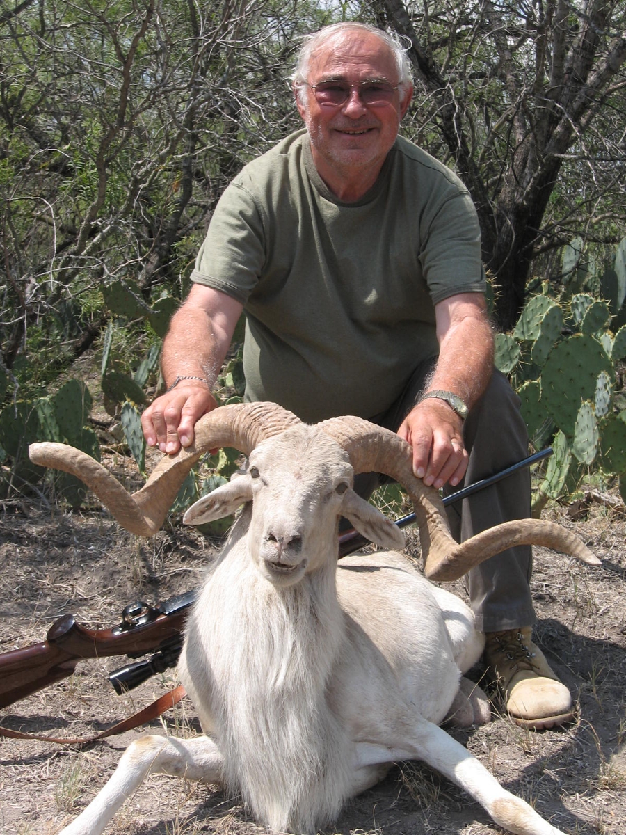 Texas Hunting - Guided Trophy Sheep And Wild Hog For Sale at GunAuction ...