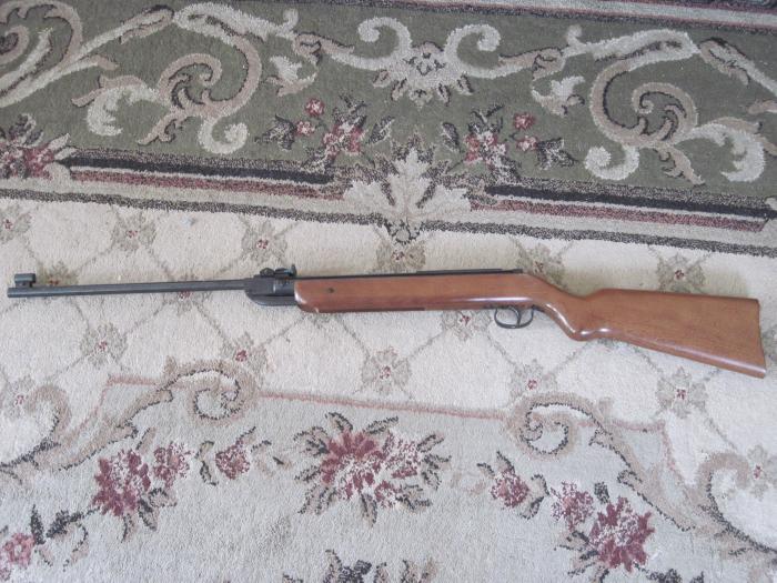 Winchester Model 427 .22 Cal Air Rifle For Sale at GunAuction.com - 9627847