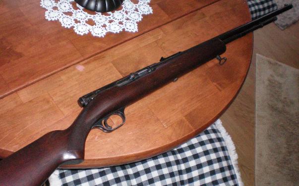 Stevens Springfield .22 Semi Automatic Rifle For Sale at GunAuction.com ...