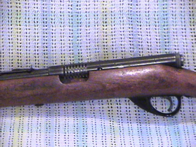 SPRINGFIELD Springfield Ranger 101,.22 semi-auto rifle