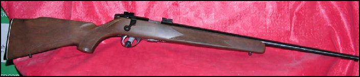 Sako Model 78 22 Lr For Sale at GunAuction.com - 6875635