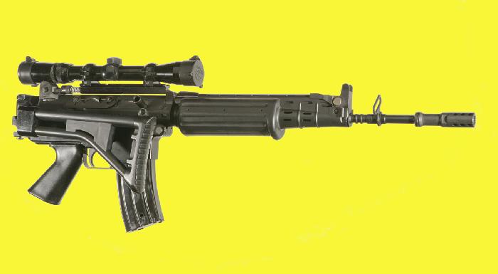 Fn C Para, Folding Stock .223 For Sale at GunAuction.com - 8507702