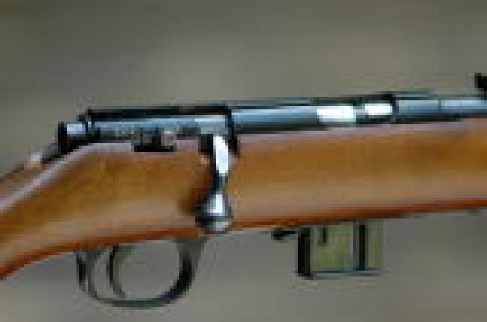 Marlin Firearms Co. - Marlin 25MN 22 magnum, bolt action, clip fed ...