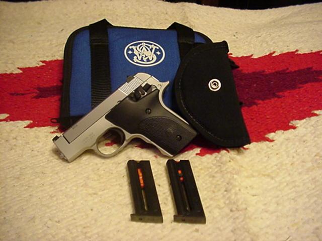 Smith & Wesson S&W 2213 Compact 22 Lr W Case For Sale at GunAuction.com ...